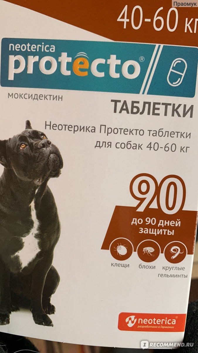 Противопаразитарные средства Neoterica Protecto - «Ужас!!!» | отзывы