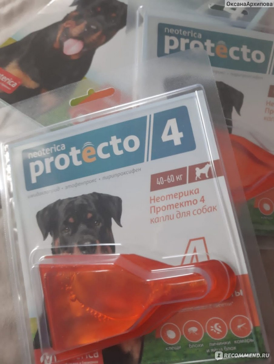 Капли от блох и клещей Neoterica Protecto - «Устраивают полностью ...