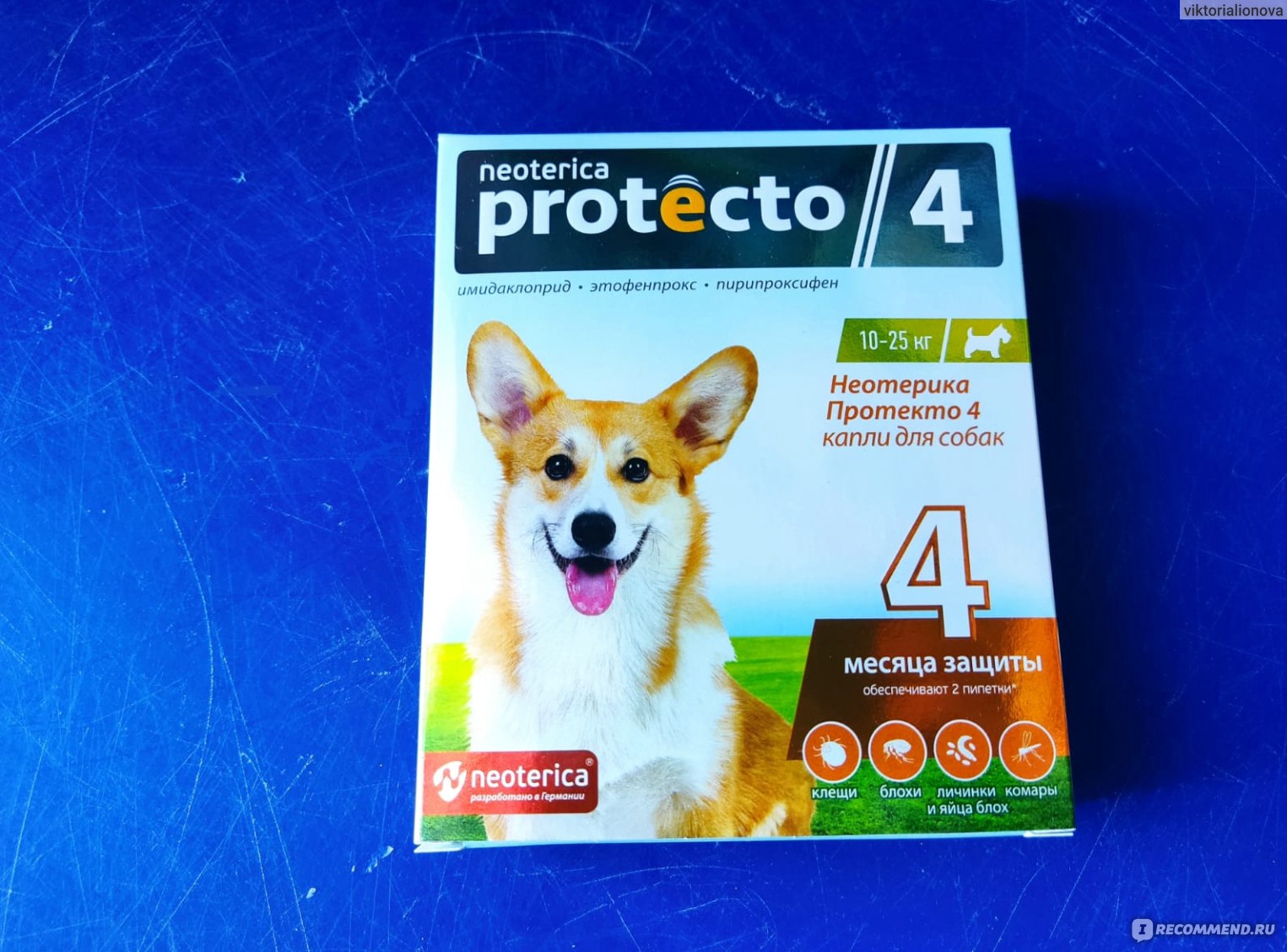 Капли от блох и клещей Neoterica Protecto - «Хорошие капли! Нам помогли ...