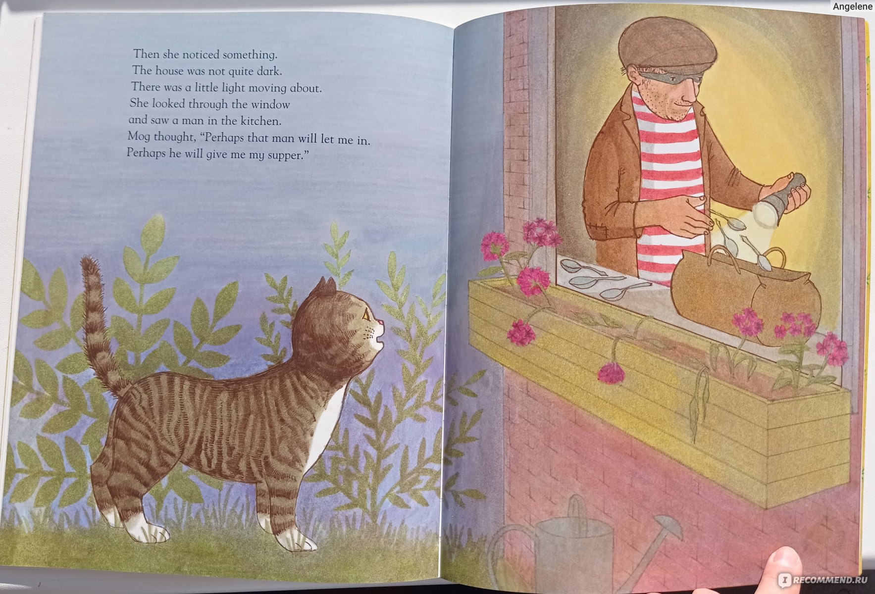 MOG the Forgetful Cat. Judith Kerr - «Дочь уехала из магазина с этой ...