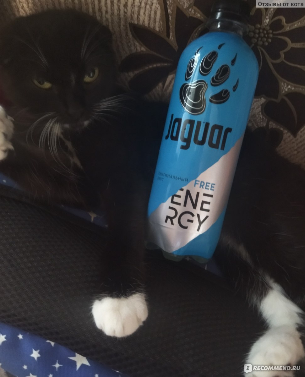 Энергетический напиток Jaguar Free energy drink - «Обзор на синий ...