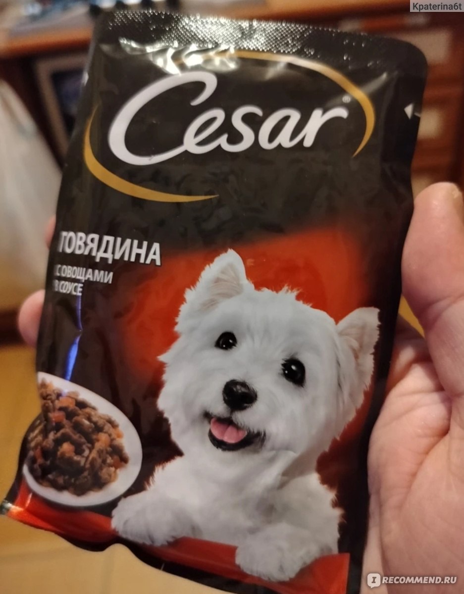 Паучи для собак Cesar из говядины с овощами - «Меня устраивает цена ...