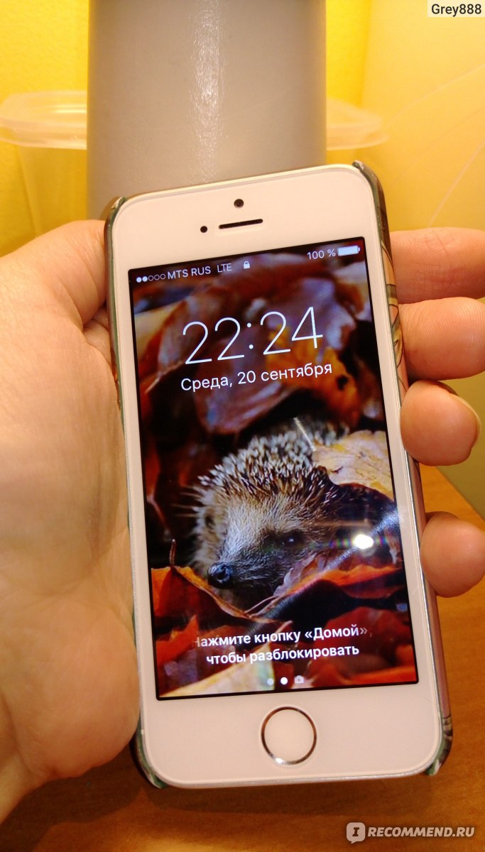 Смартфон Apple iPhone 5s - «Не берите неофициально восстановленные ...