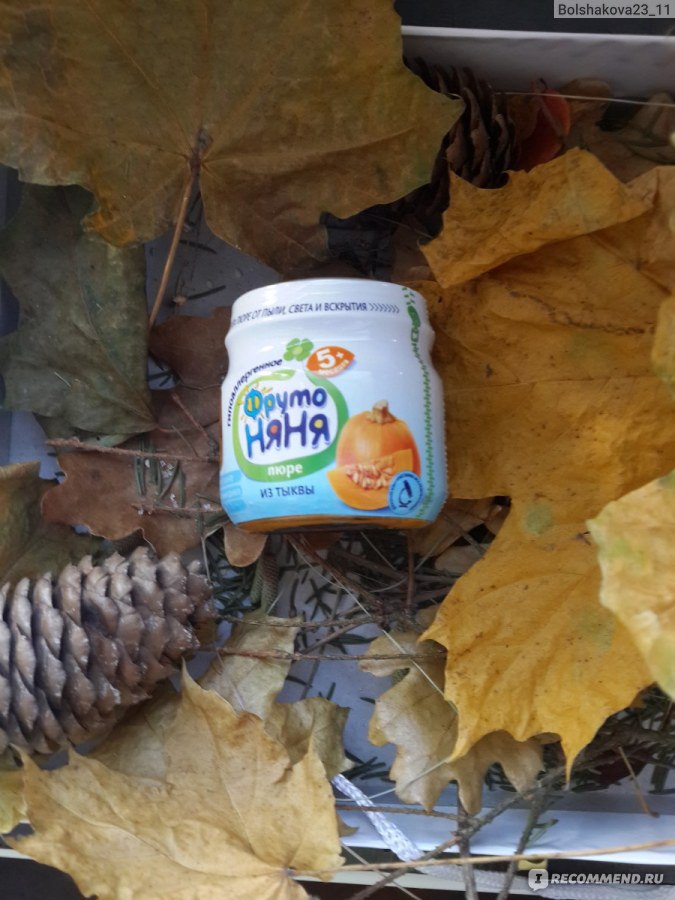 Пюре Фруто Няня из тыквы «Вода плюс тыква отзывы