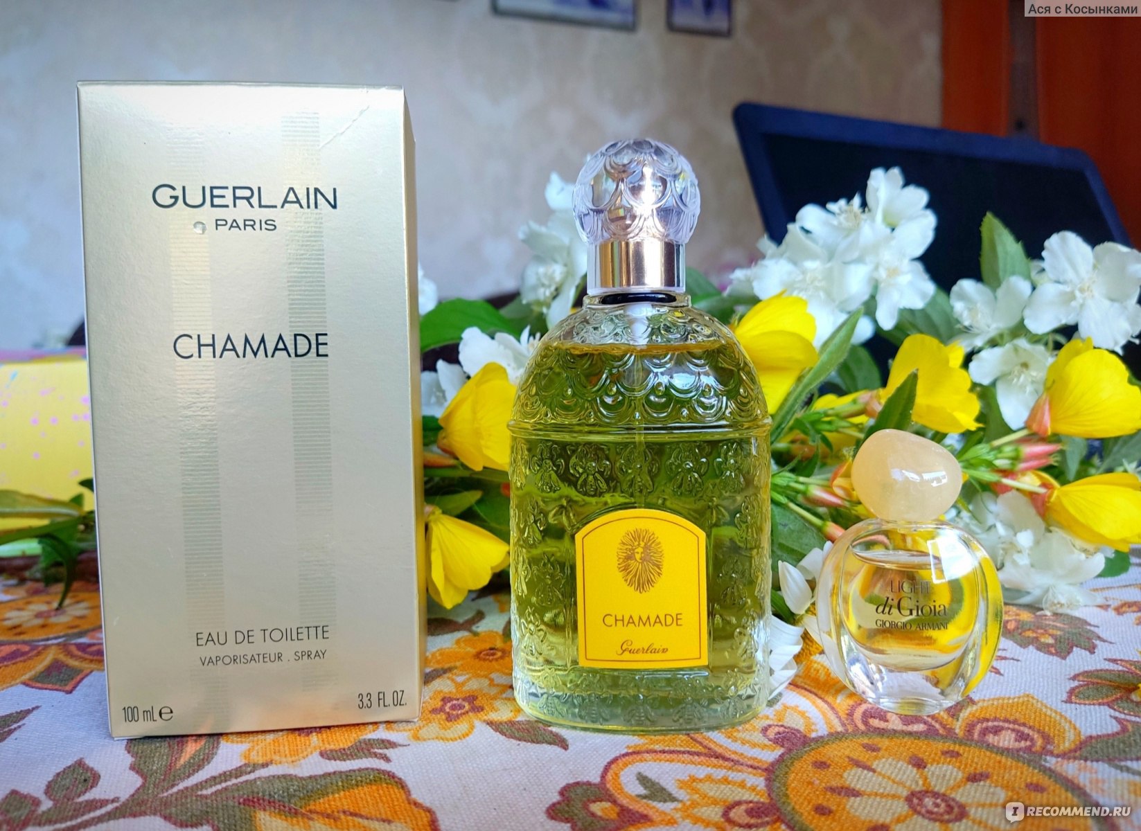 Guerlain Chamade - «Духи Катрин Денев, которая никогда не была их ...