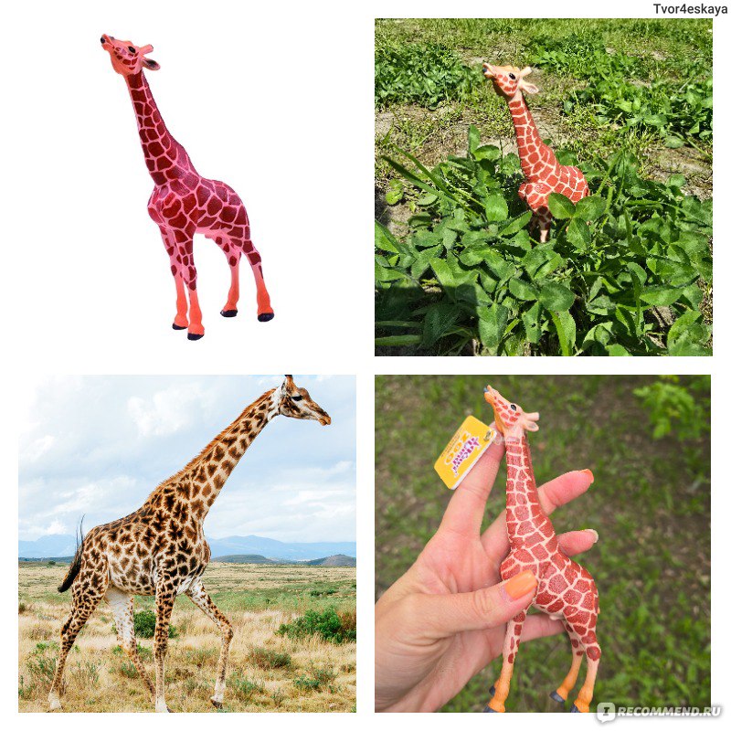 Kariland ZOO Фигурка "Жираф", серия ZOO (11*3,3*16,7 см) ZY524790 ...