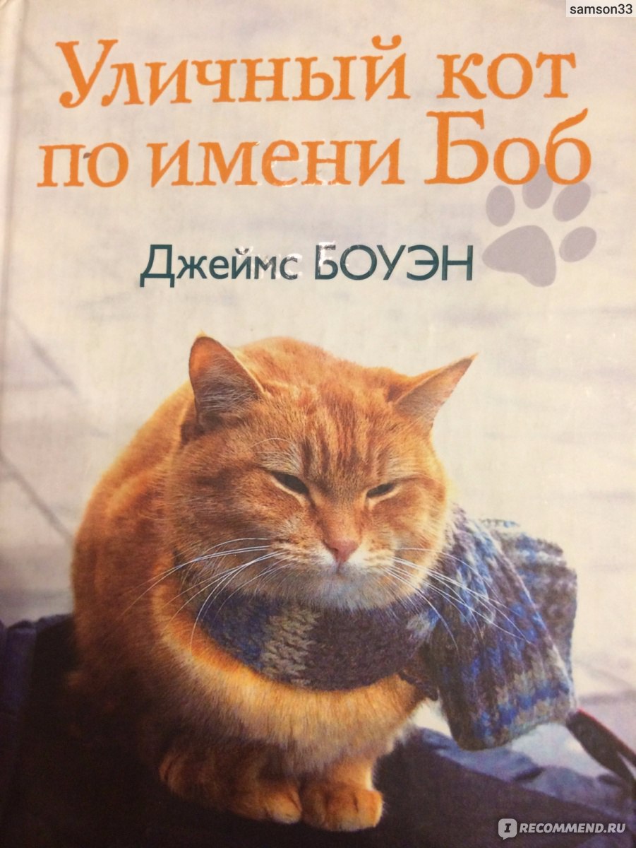 Уличный кот по имени Боб. Джеймс Боуэн - «Про котов» | отзывы