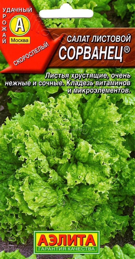 Аэлита Салат листовой Сорванец | отзывы