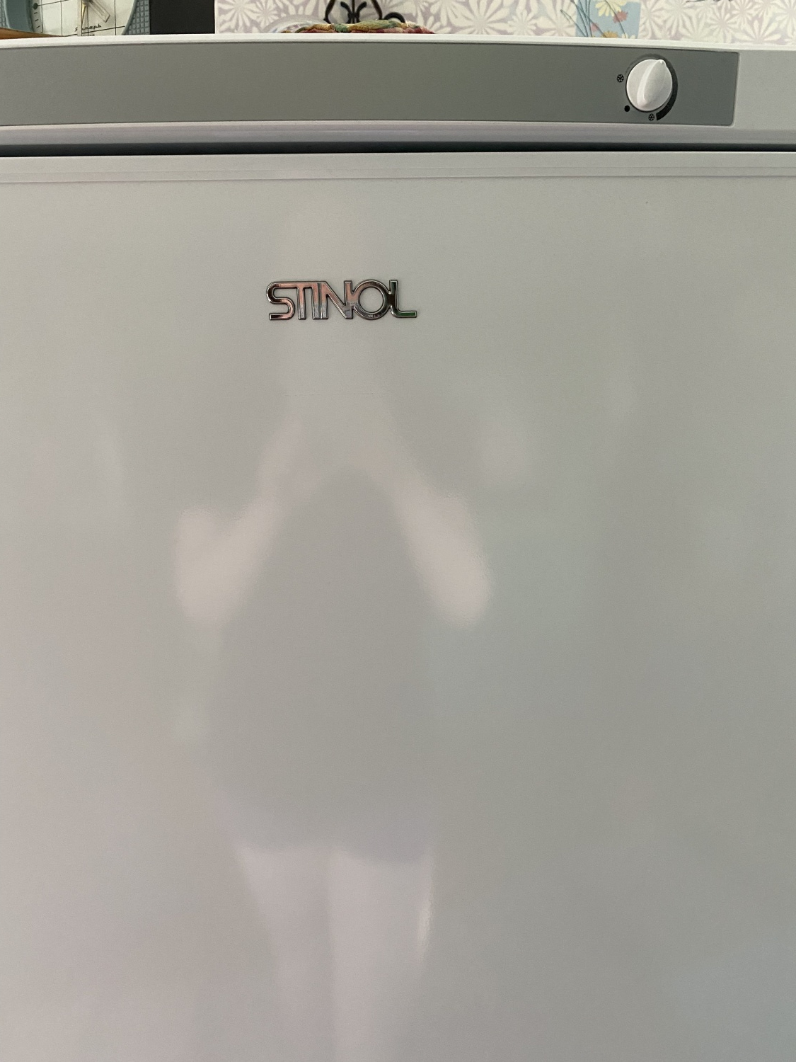 Холодильник с нижней морозильной камерой STINOL R600a STS 150 | отзывы